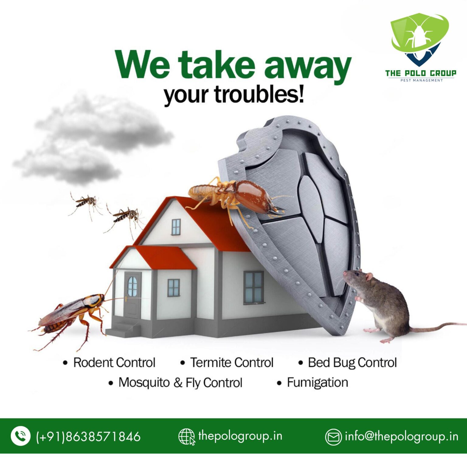Best Pest Control in Silapathar Assam | The Polo Group Pest Control