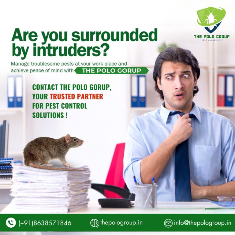 Best Pest Control in Diphu Assam | The Polo Group Pest Control