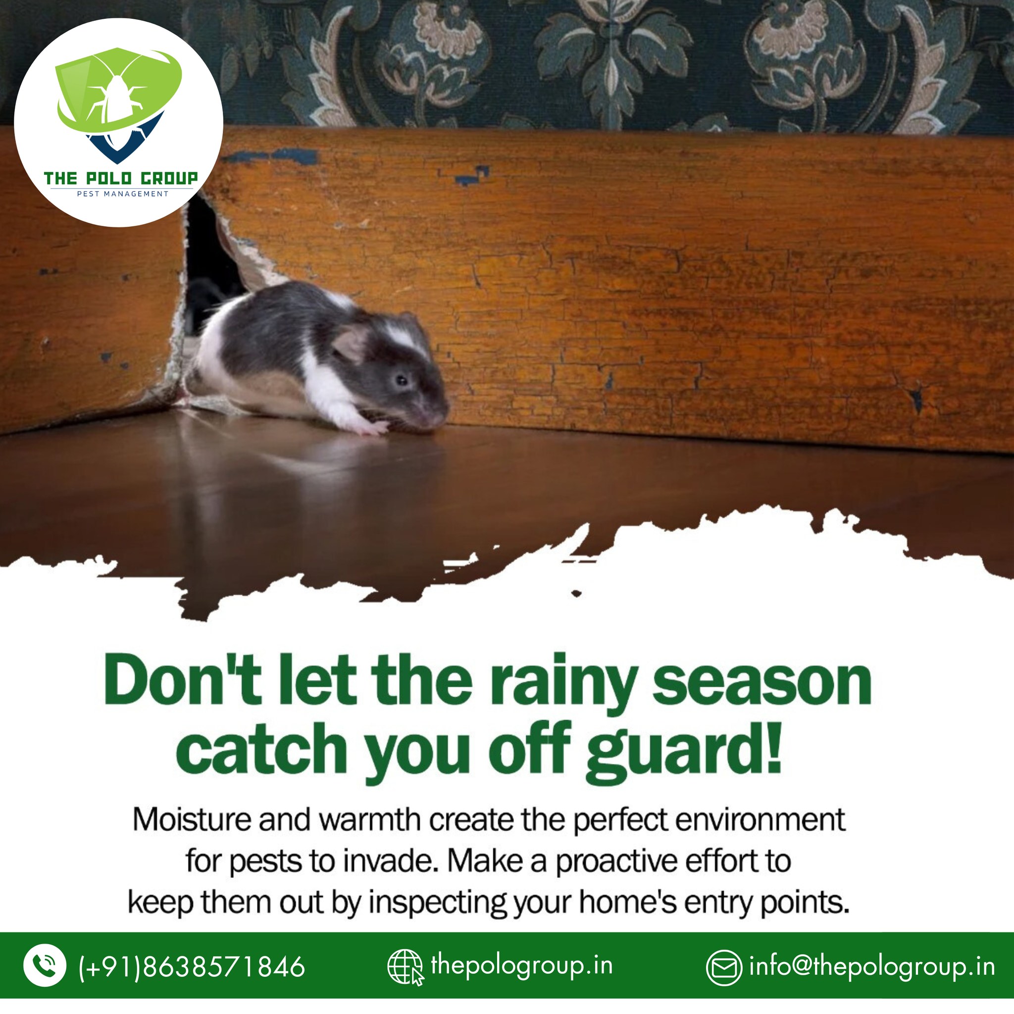 Best Pest Control in Kokrajhar Assam | The Polo Group Pest Control